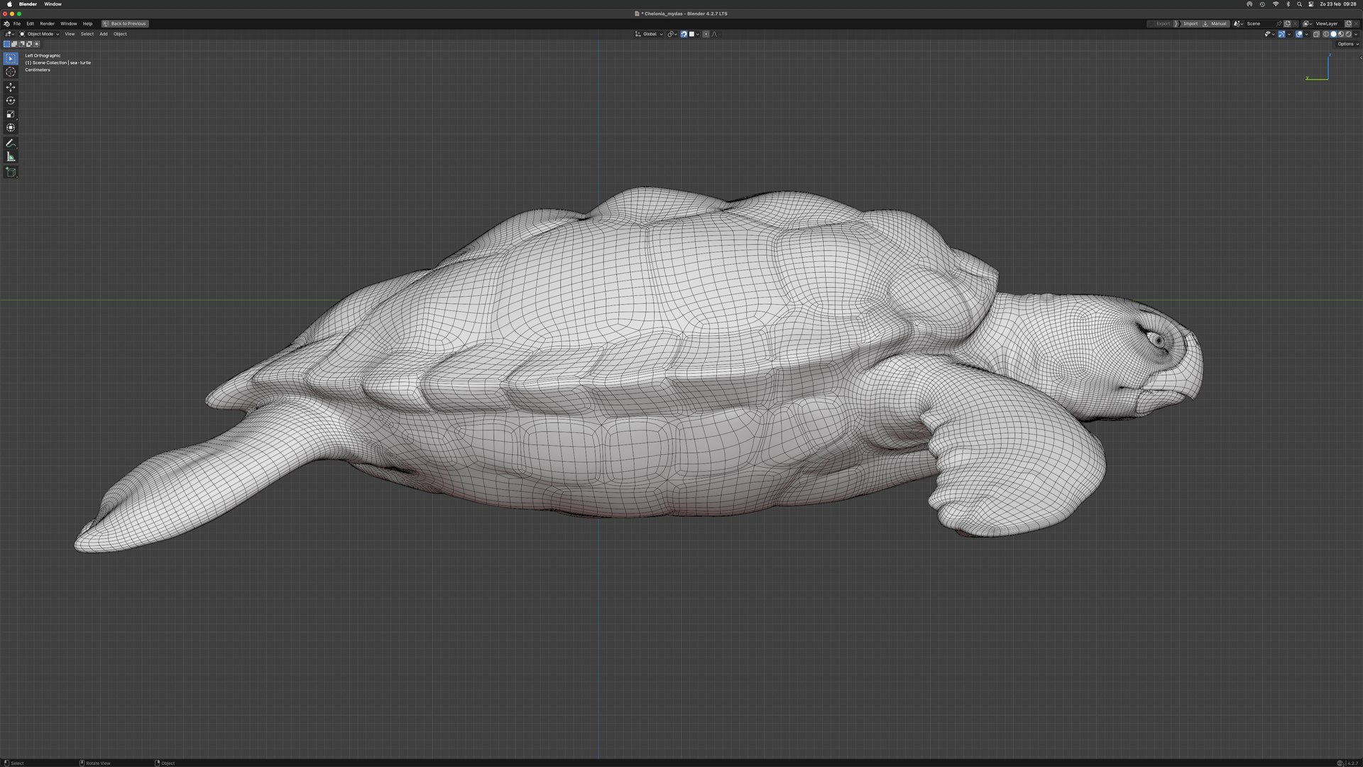 Chelonia Mydas 3D - TurboSquid 2375979