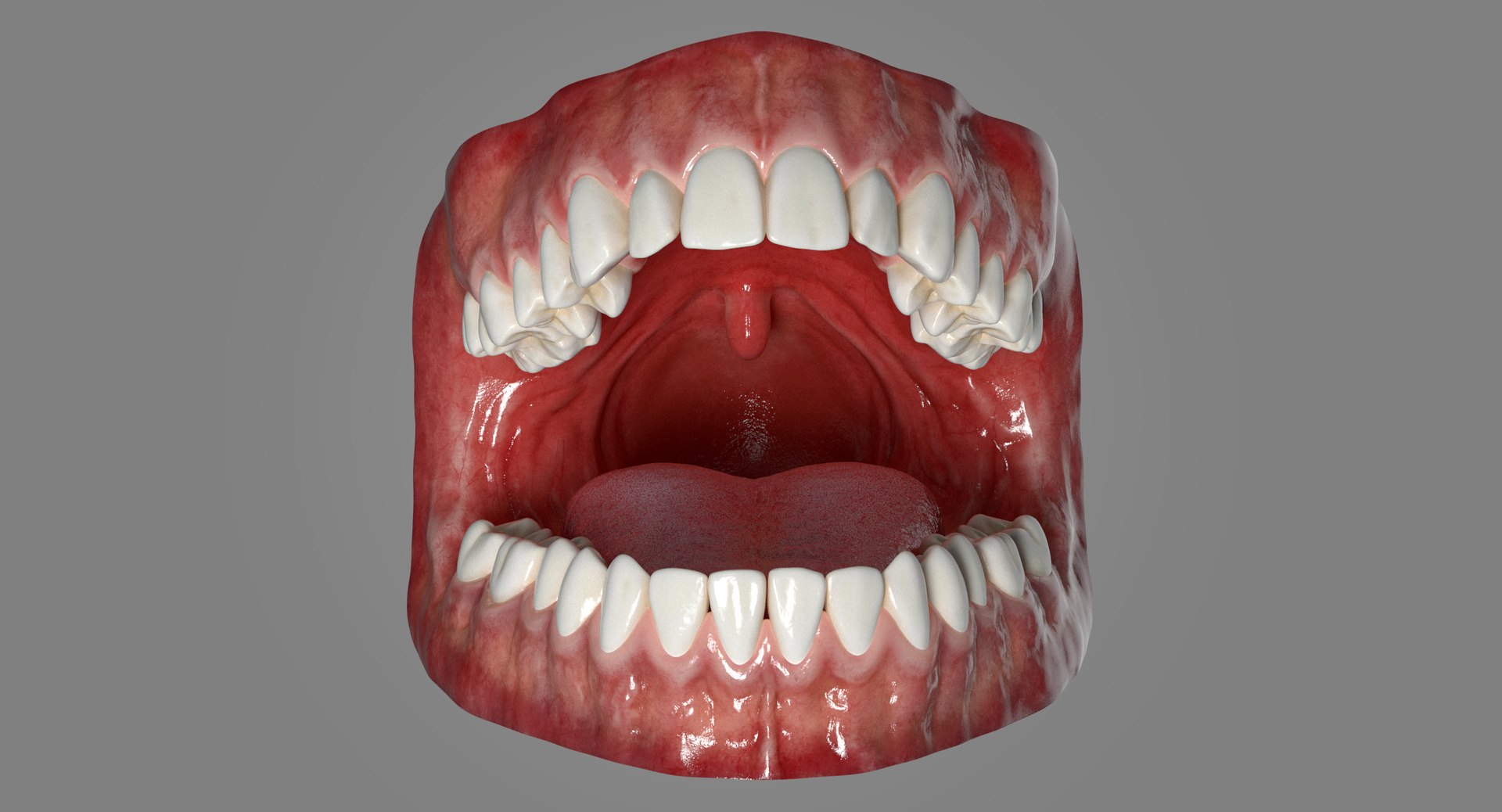 3D Human Mouth Tongue - TurboSquid 1647548