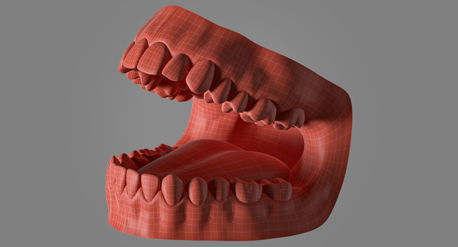 3D Human Mouth Tongue - TurboSquid 1647548