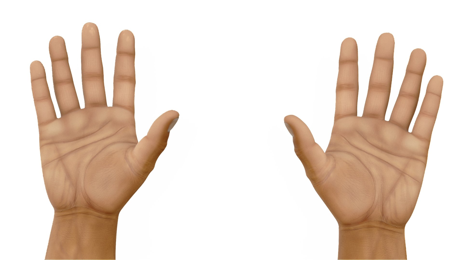 3D European Man Hands Base Pose - TurboSquid 2195854