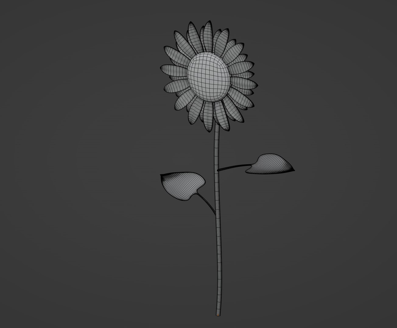 3D Model Sunflower - TurboSquid 2196406