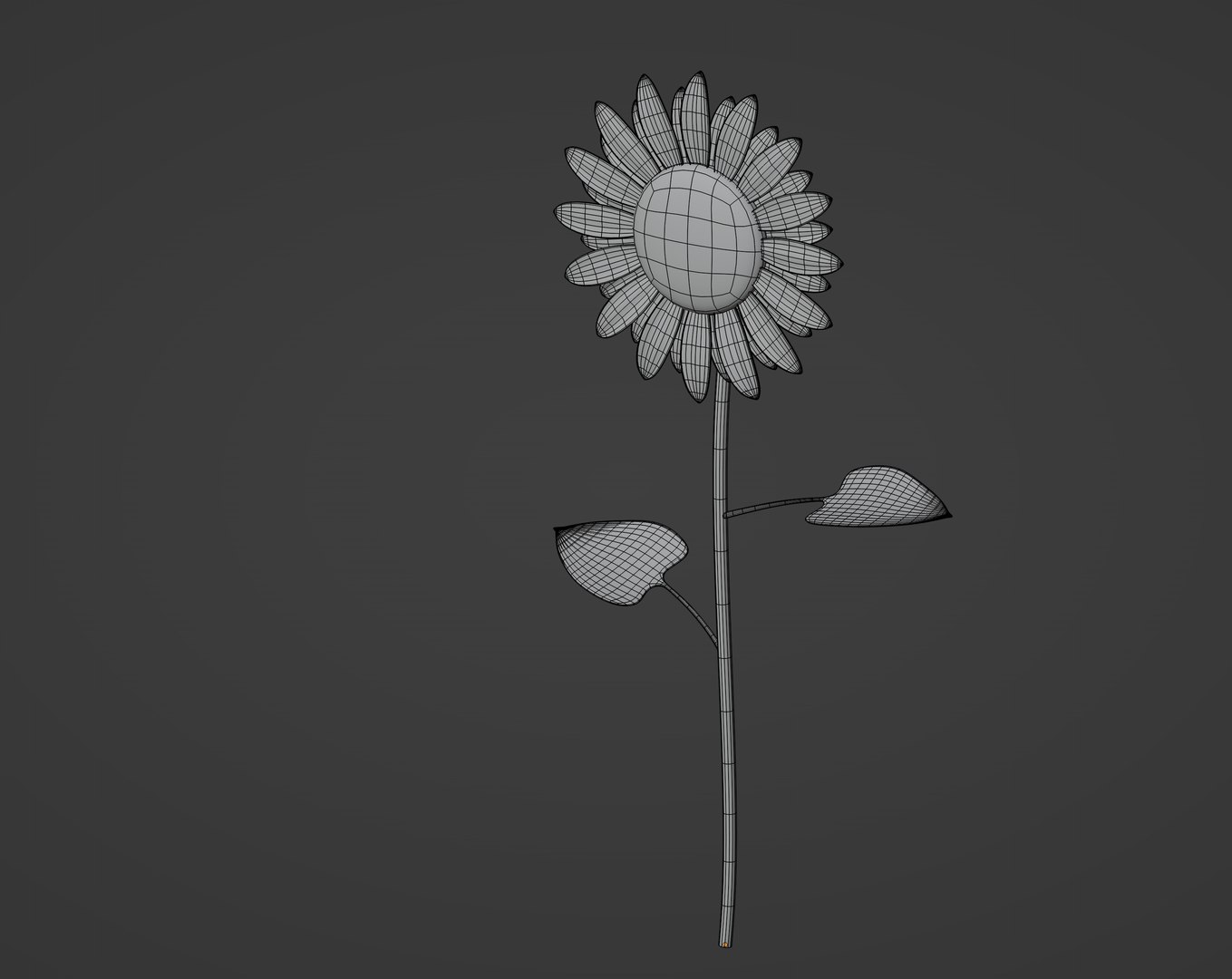 3D Model Sunflower - TurboSquid 2196406