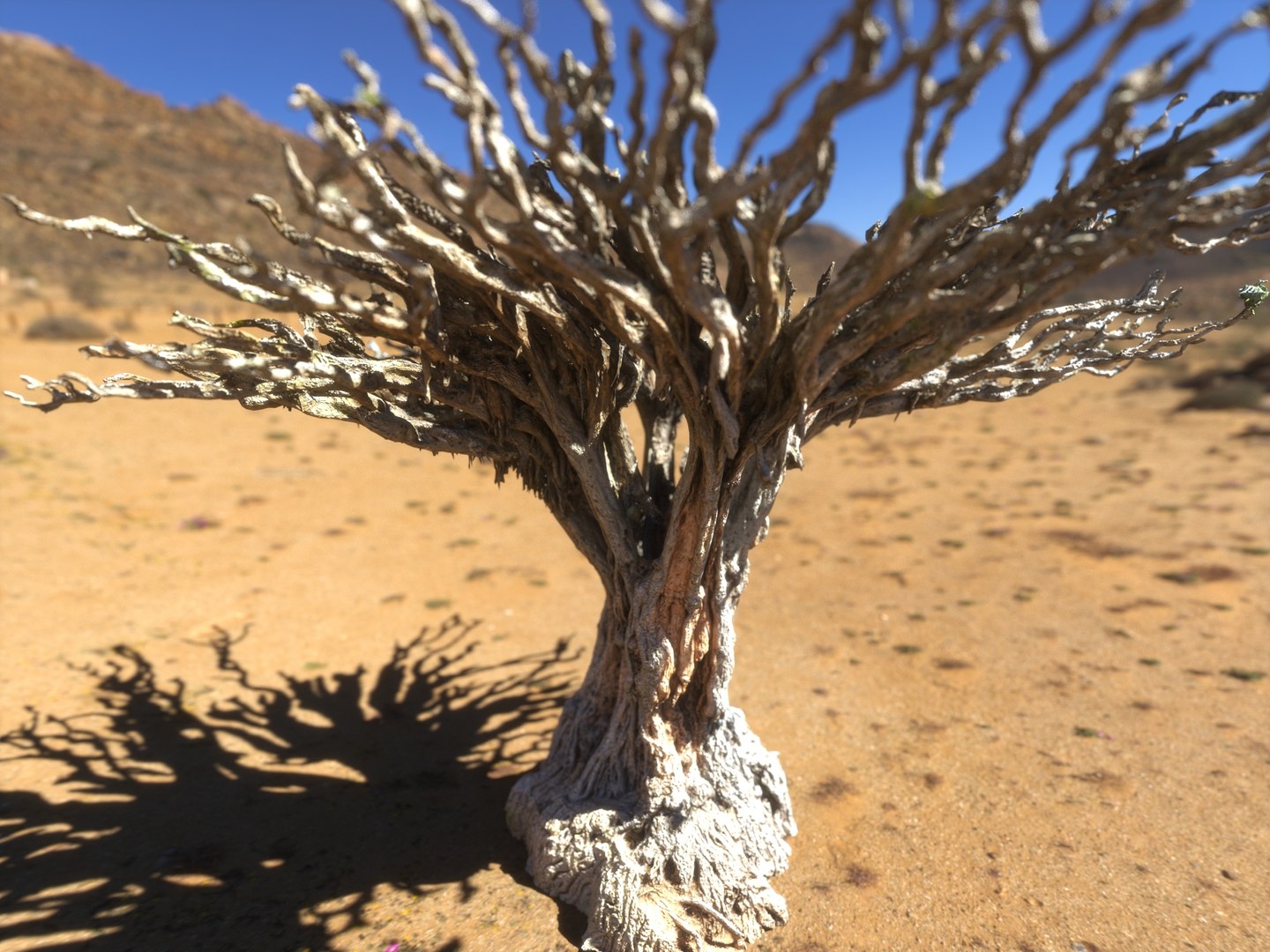 3D Model Dragon Tree 24K - TurboSquid 2350052