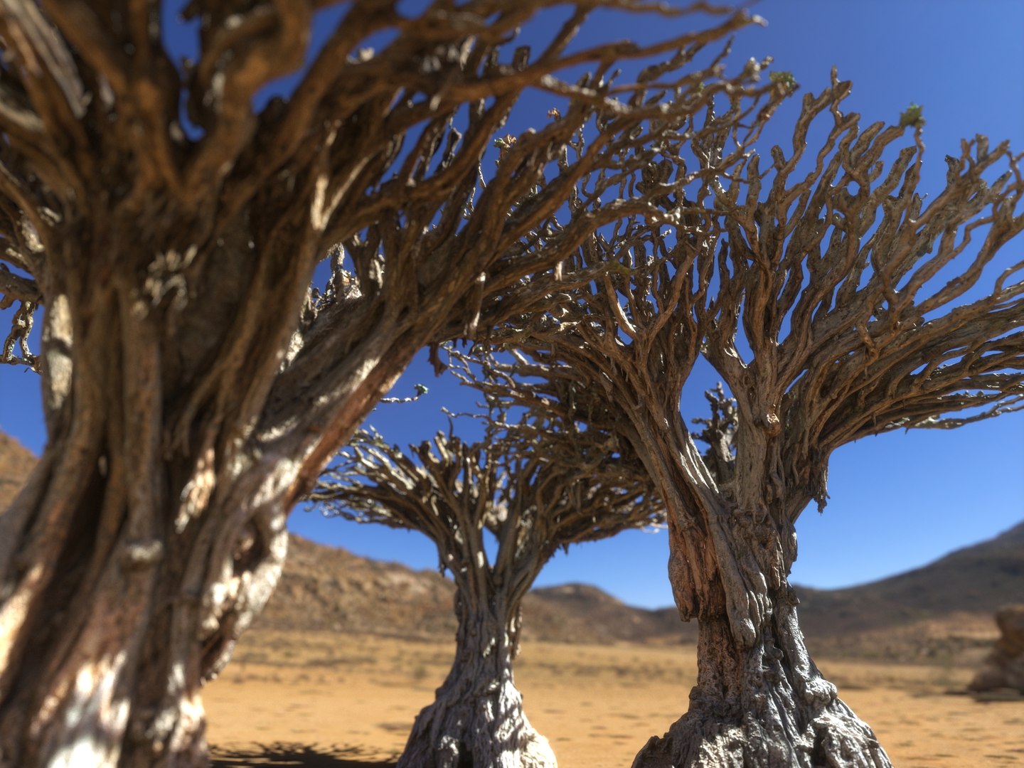 3D Model Dragon Tree 24K - TurboSquid 2350052