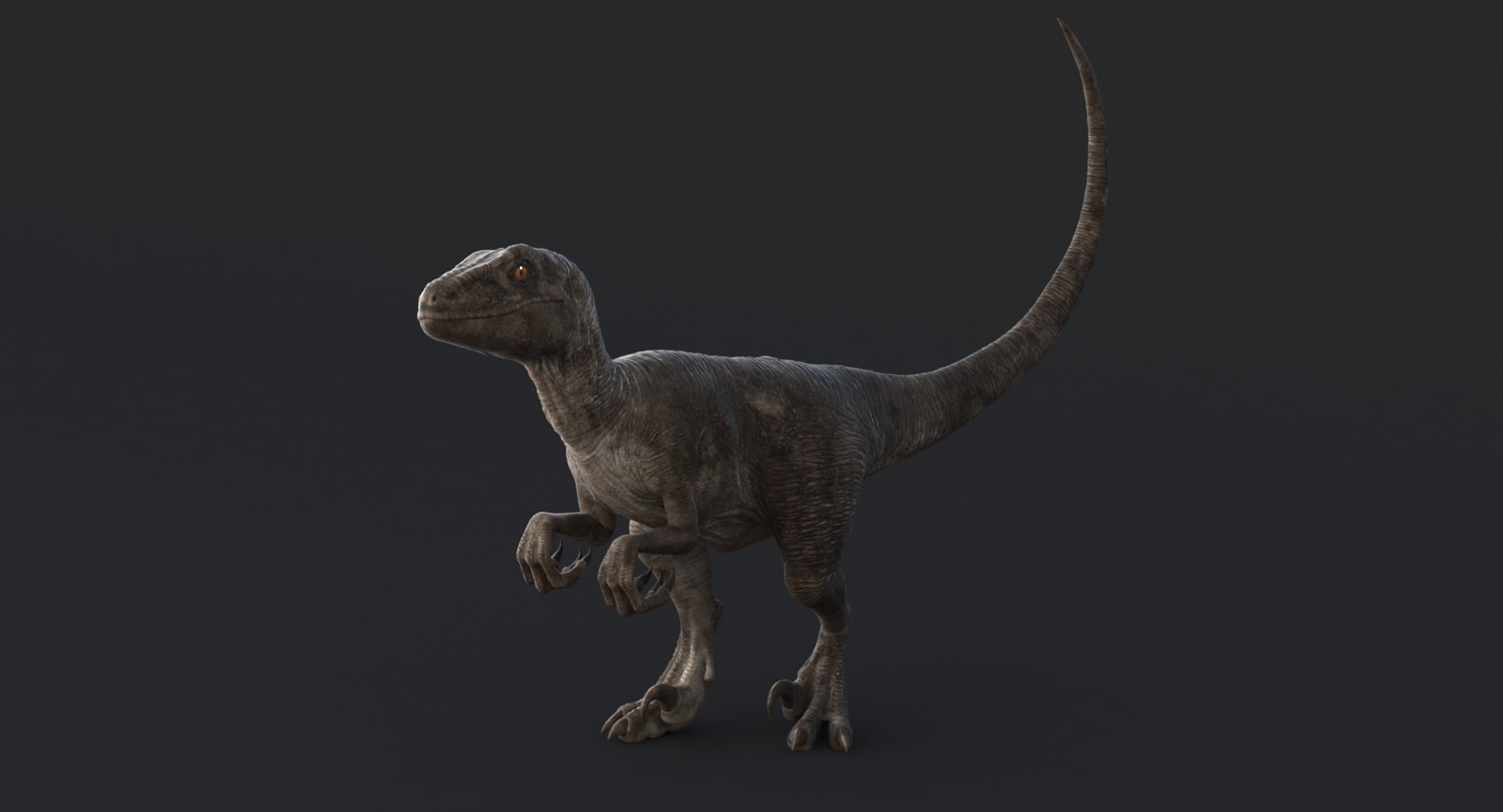 Realistic Velociraptor Rigged Raptor 3d Max