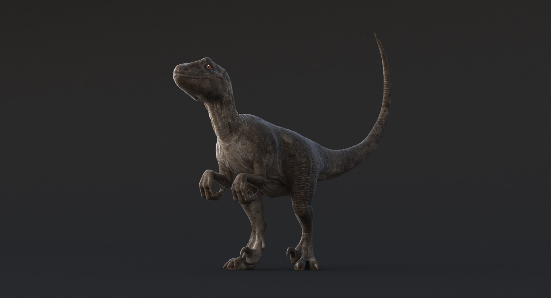 Realistic Velociraptor Rigged Raptor 3d Max