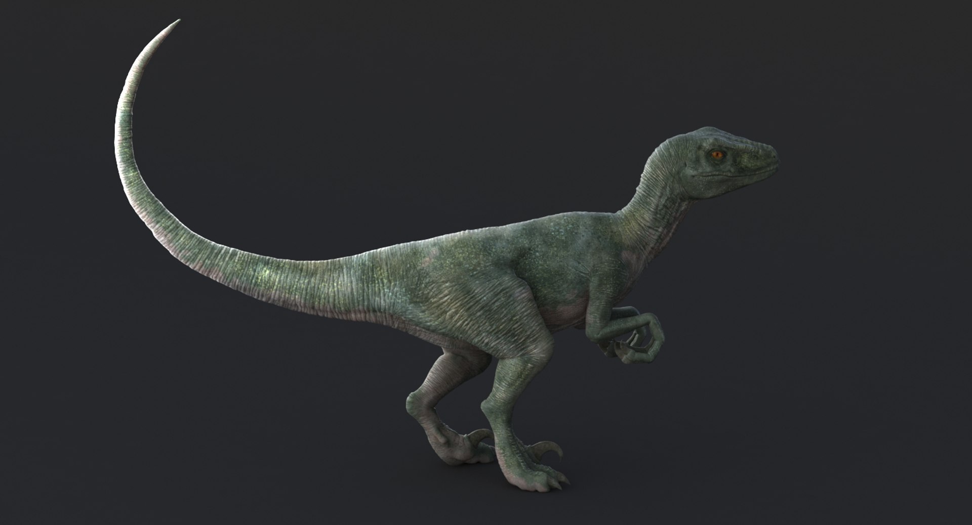 realistic velociraptor rigged raptor 3d max