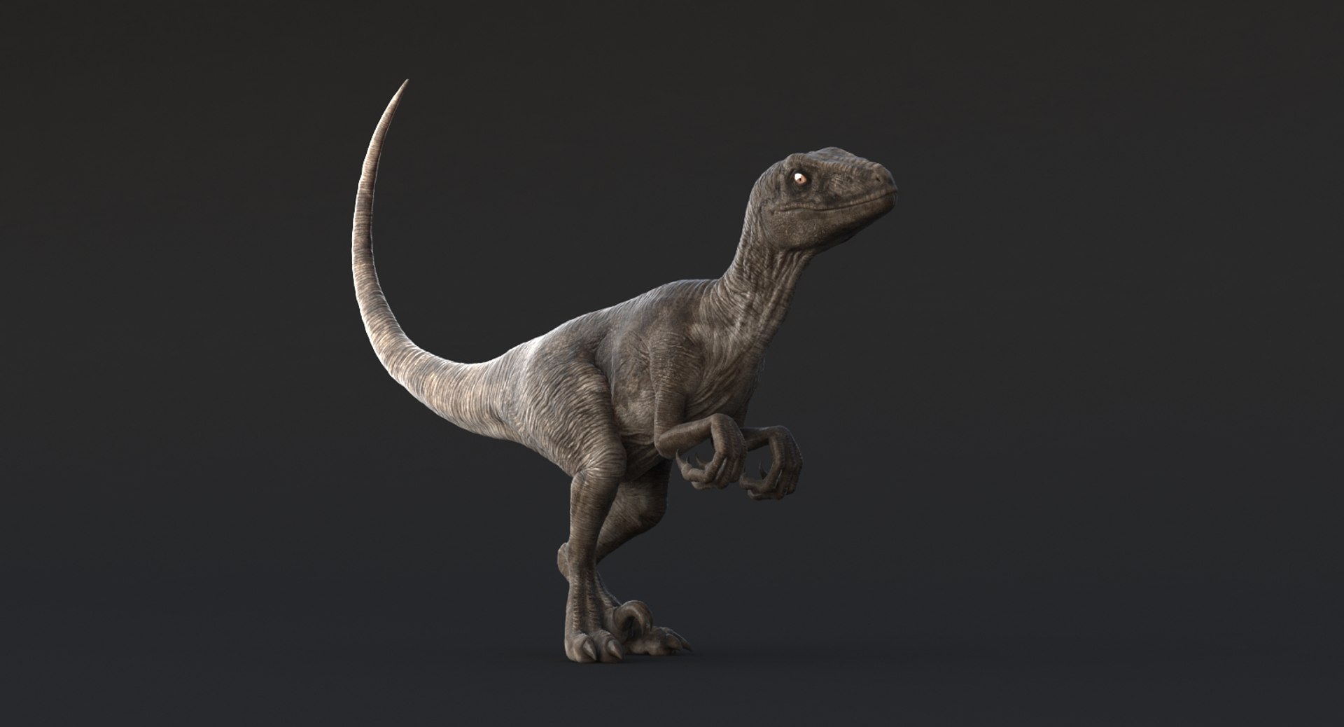 Realistic Velociraptor Rigged Raptor 3d Max