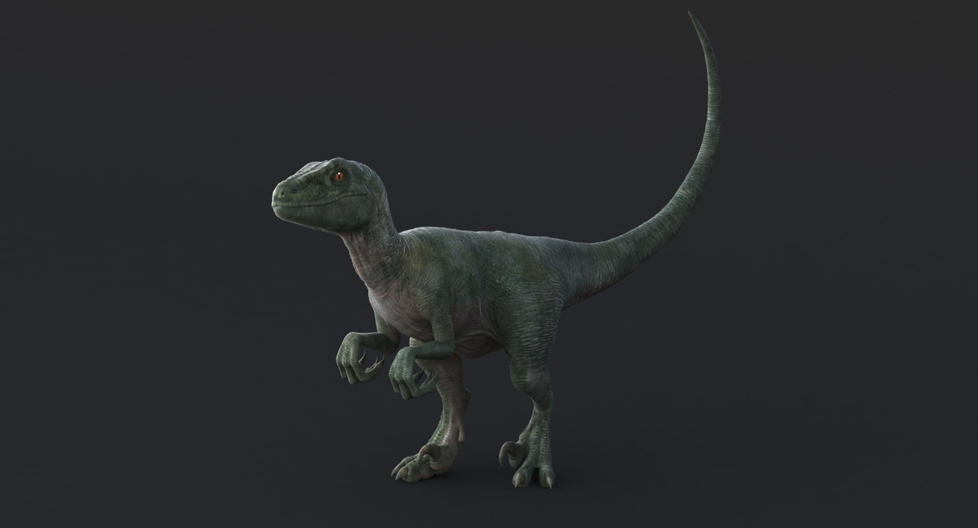realistic velociraptor rigged raptor 3d max