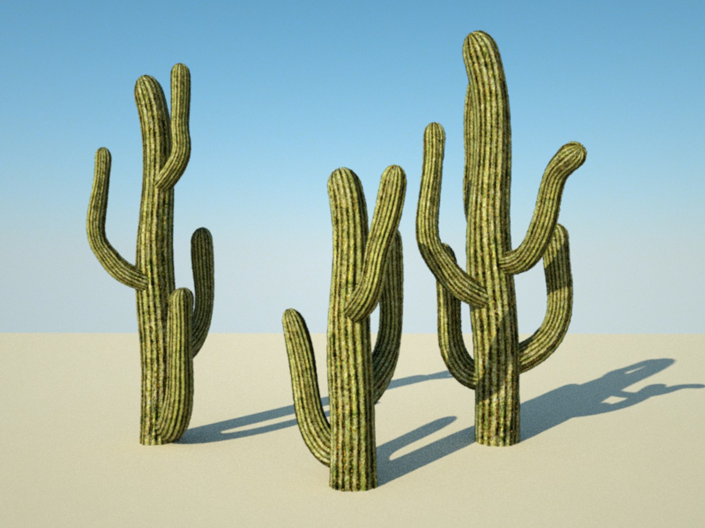 3d Model Desert Cactus