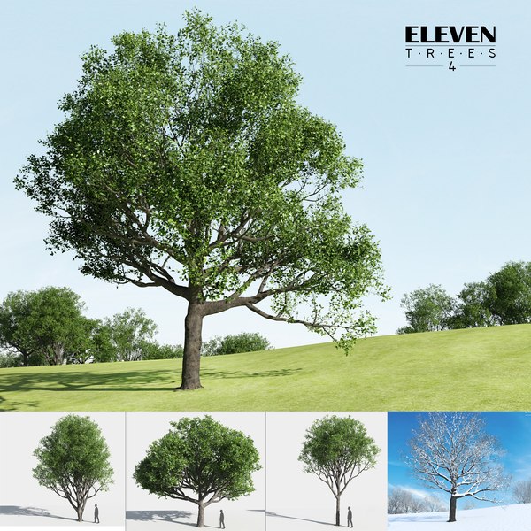 Trees model - TurboSquid 1349216