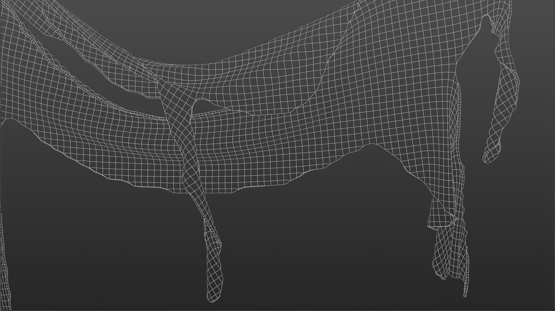 Torn Rags 1 Model - TurboSquid 1958777