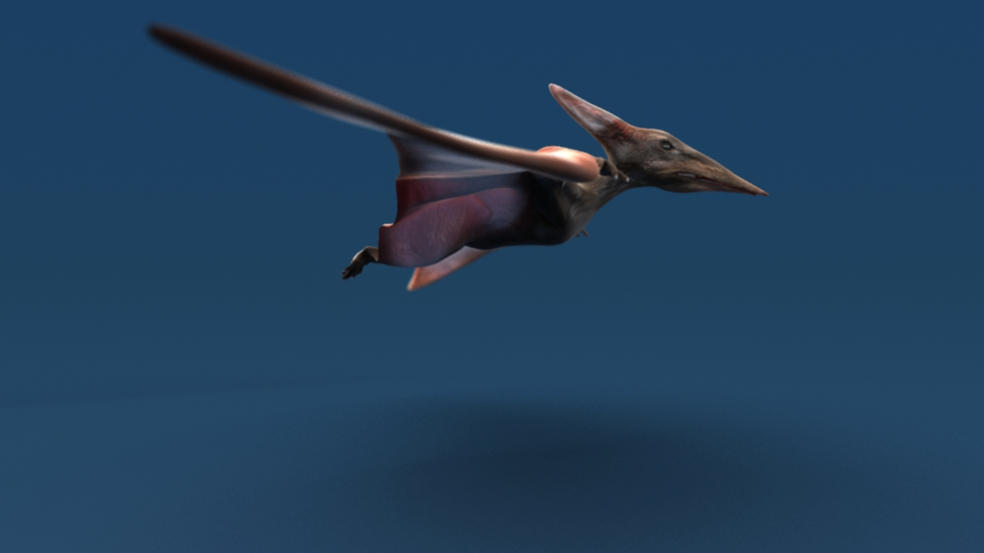 flying dinosaur sss 3d model