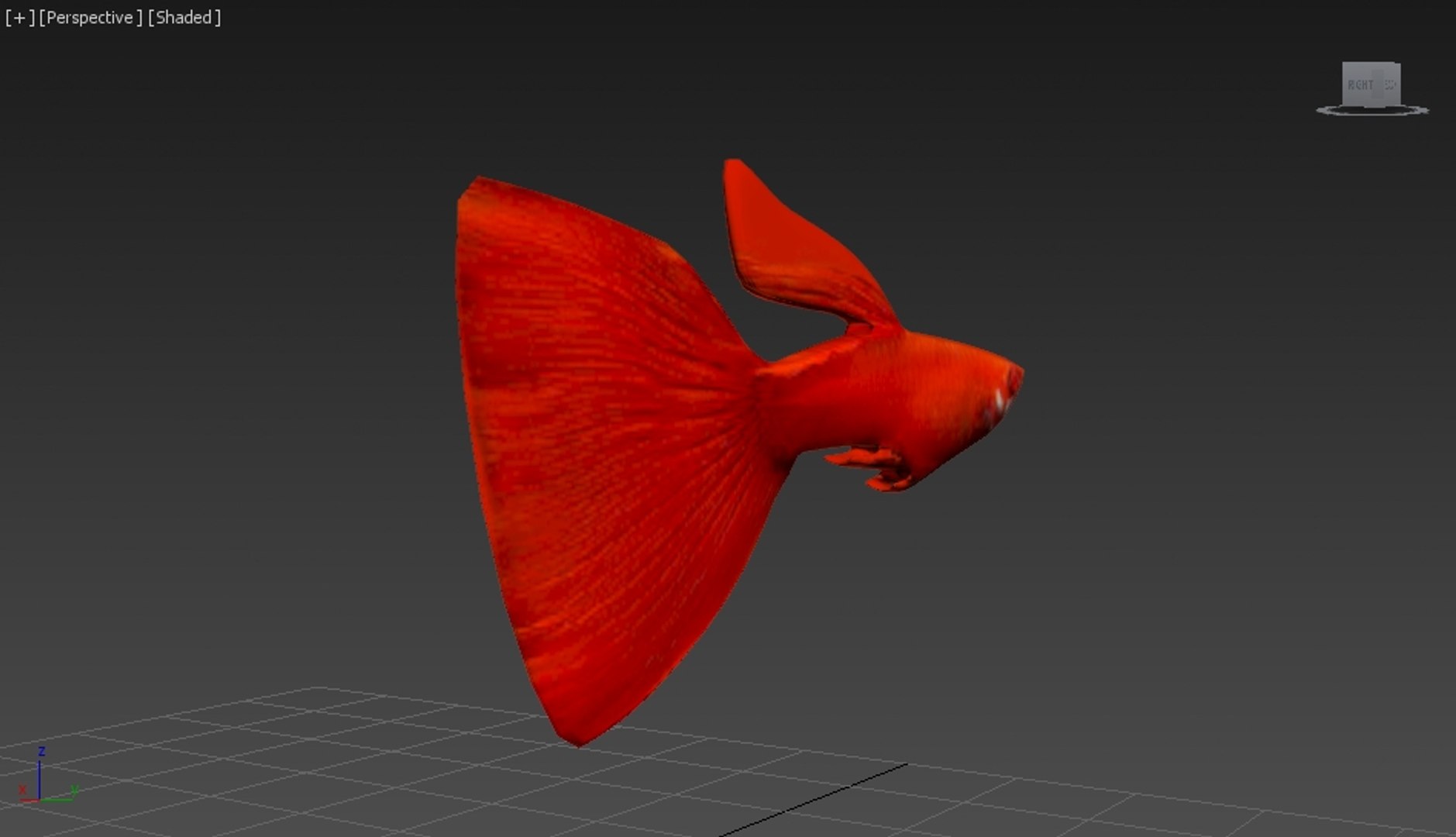 Rig Guppy Fish 3d Model