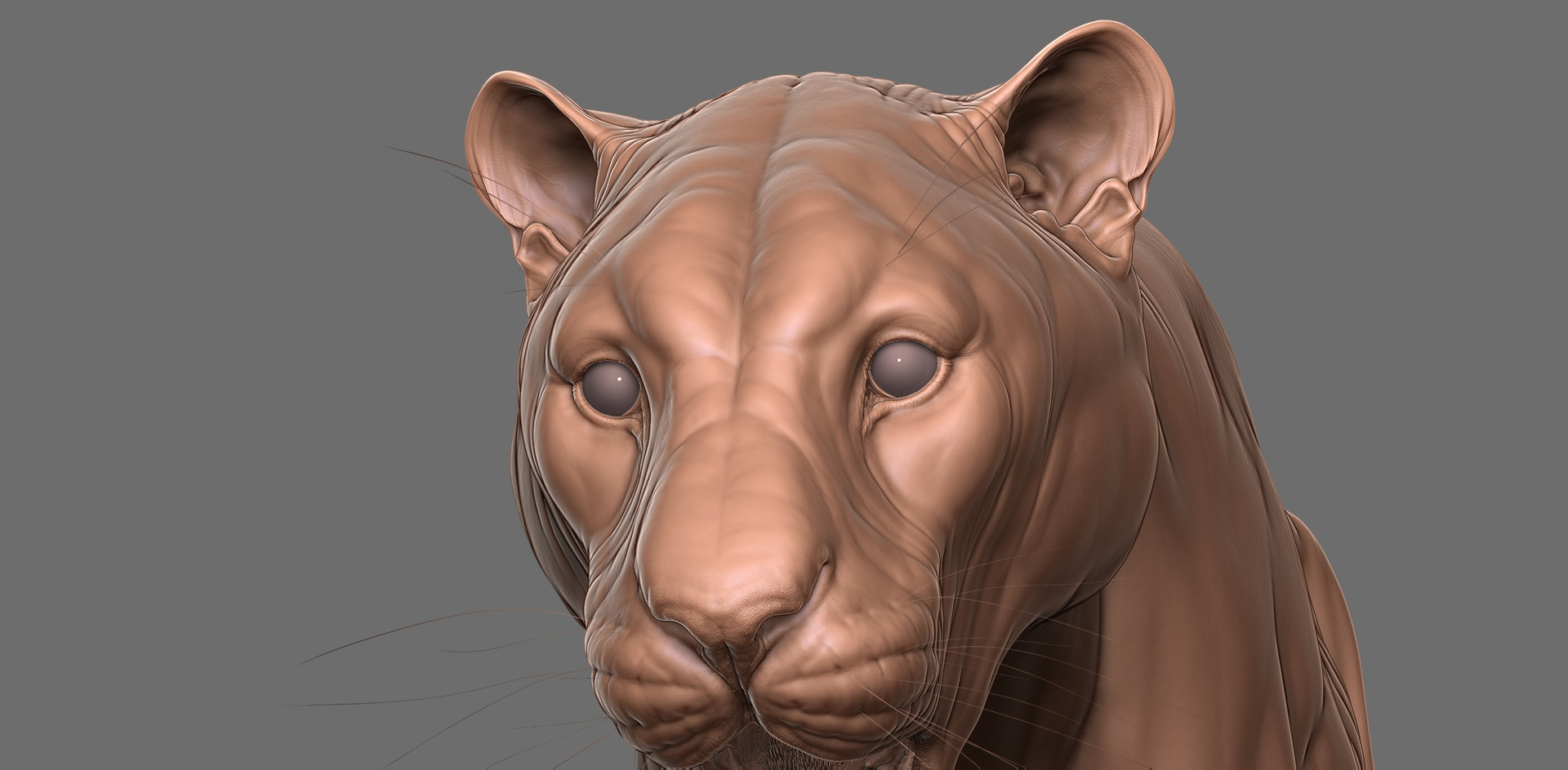 Detailed Siberian Tiger Zbrush Sculpt 3D model - TurboSquid 1860300