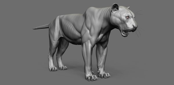 Detailed Siberian Tiger Zbrush Sculpt 3D model - TurboSquid 1860300