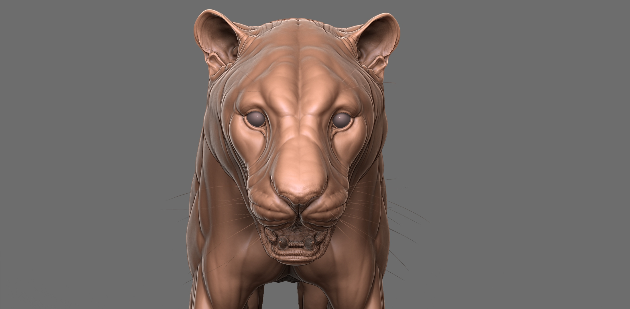Detailed Siberian Tiger Zbrush Sculpt 3D model - TurboSquid 1860300