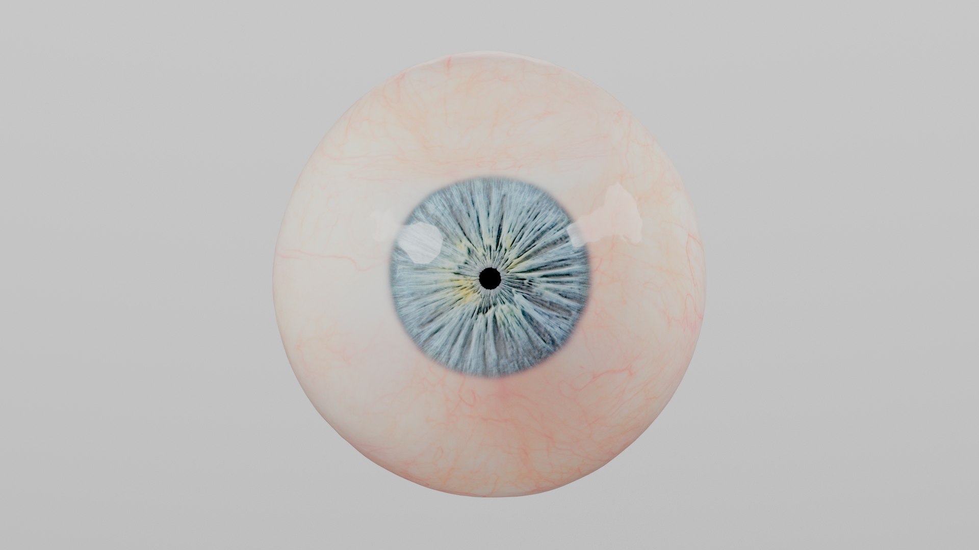 Photorealistic Human Eye High Quality Multicolor And Animated 3D Model ...