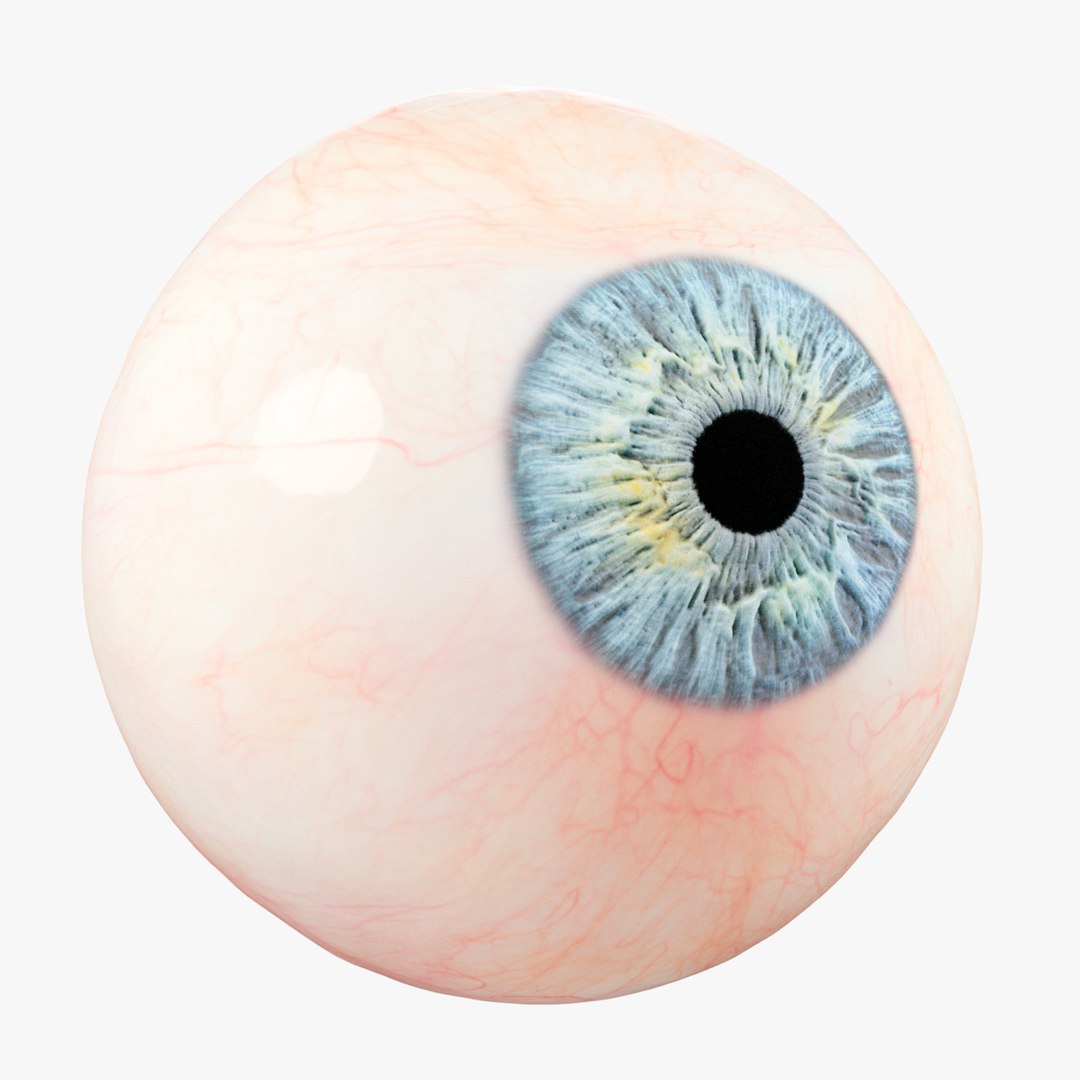 Photorealistic Human Eye High Quality Multicolor And Animated 3D Model ...