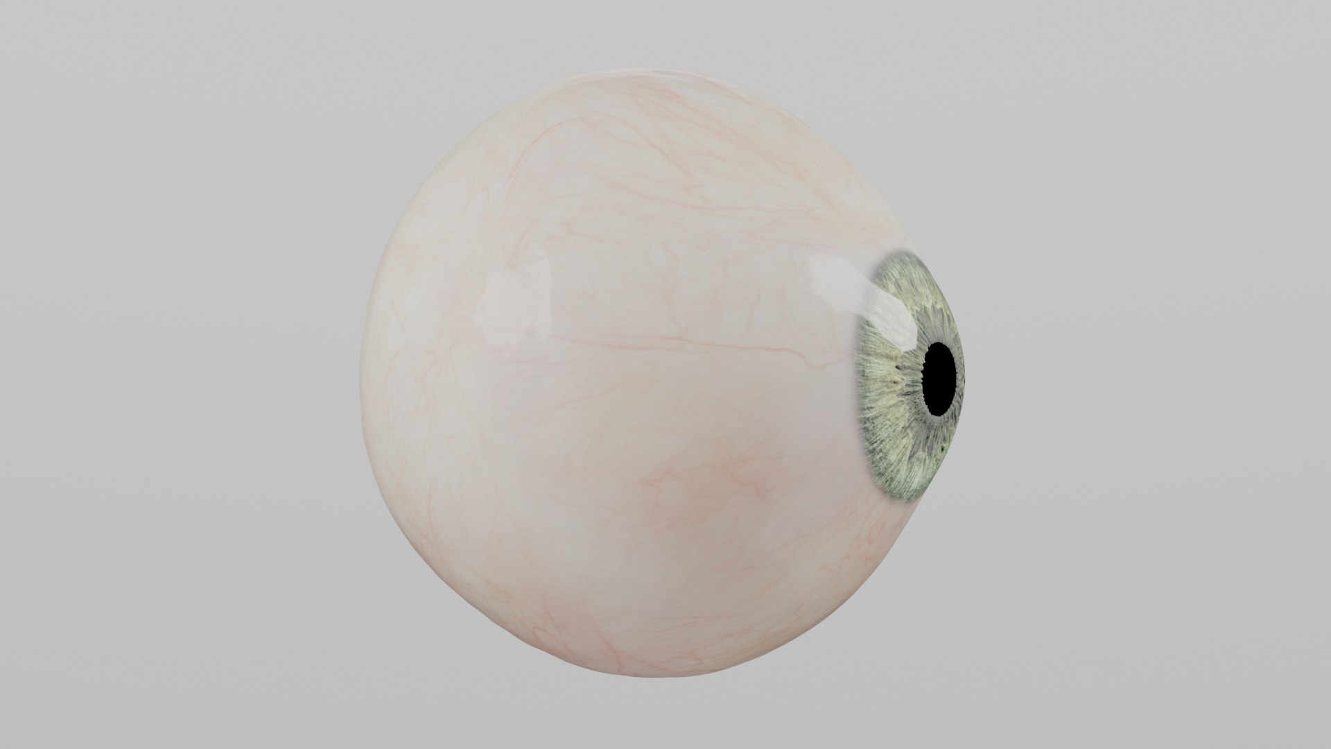 Photorealistic Human Eye High Quality Multicolor And Animated 3D Model ...