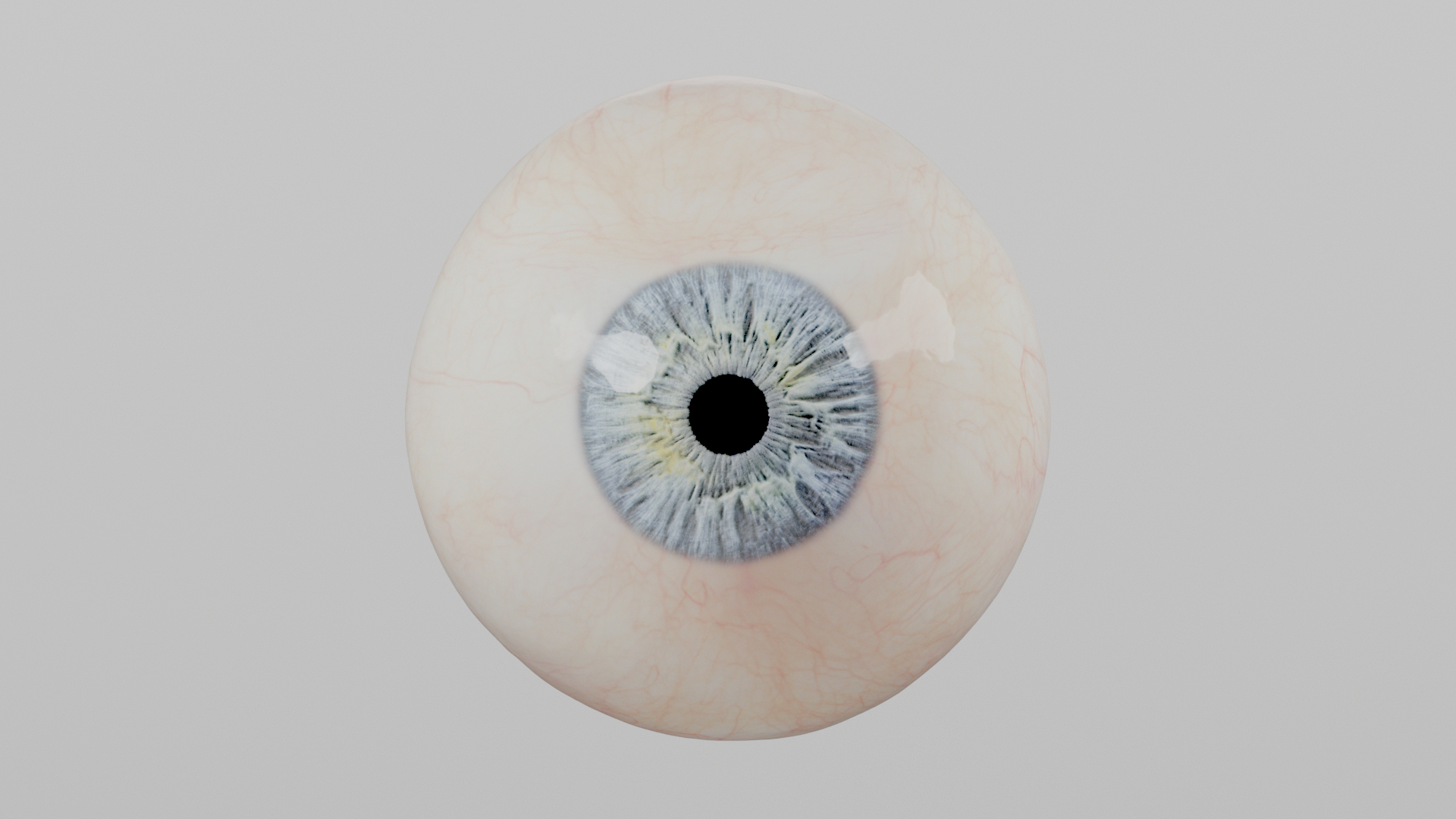 Photorealistic Human Eye High Quality Multicolor And Animated 3D Model ...