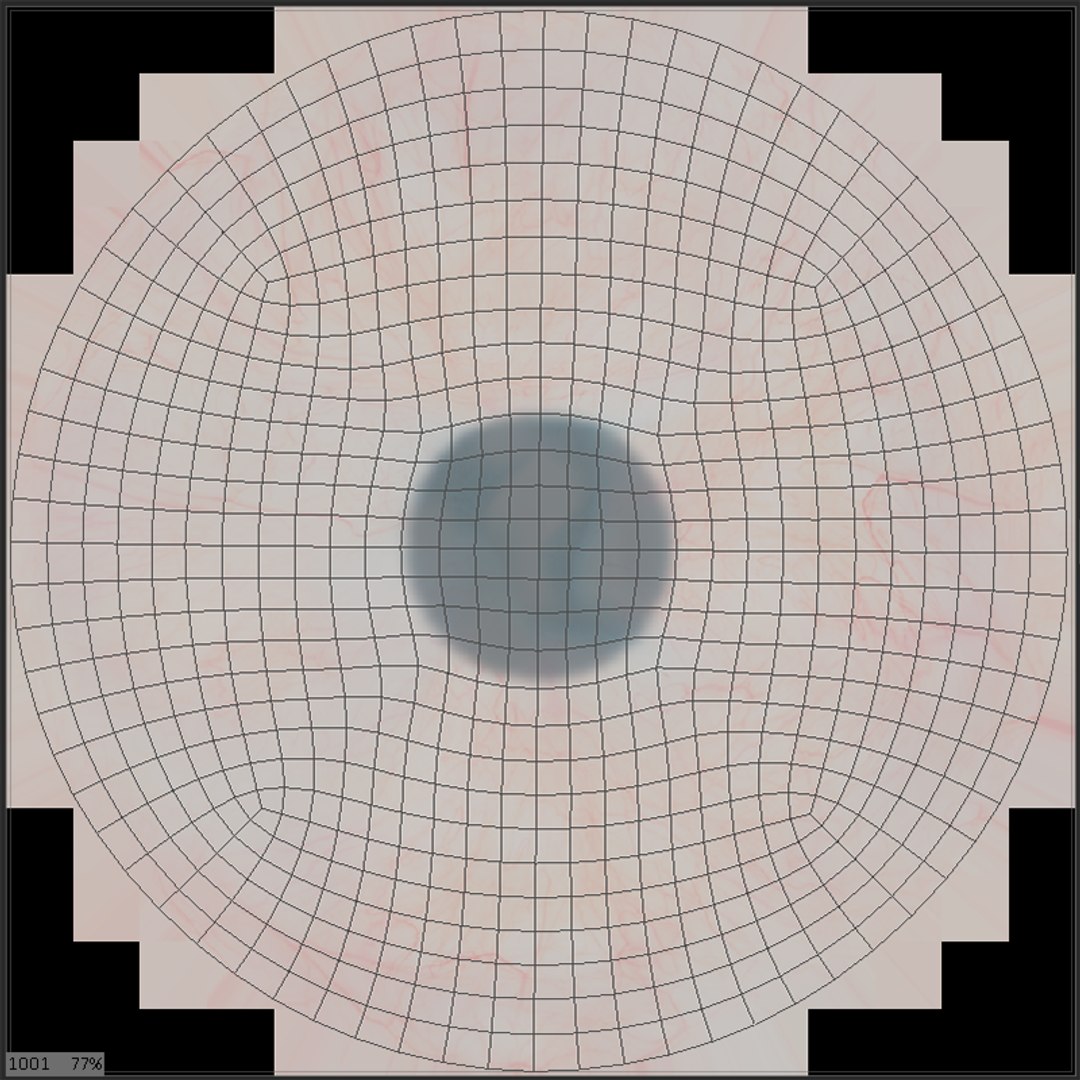 Photorealistic Human Eye High Quality Multicolor And Animated 3D Model ...