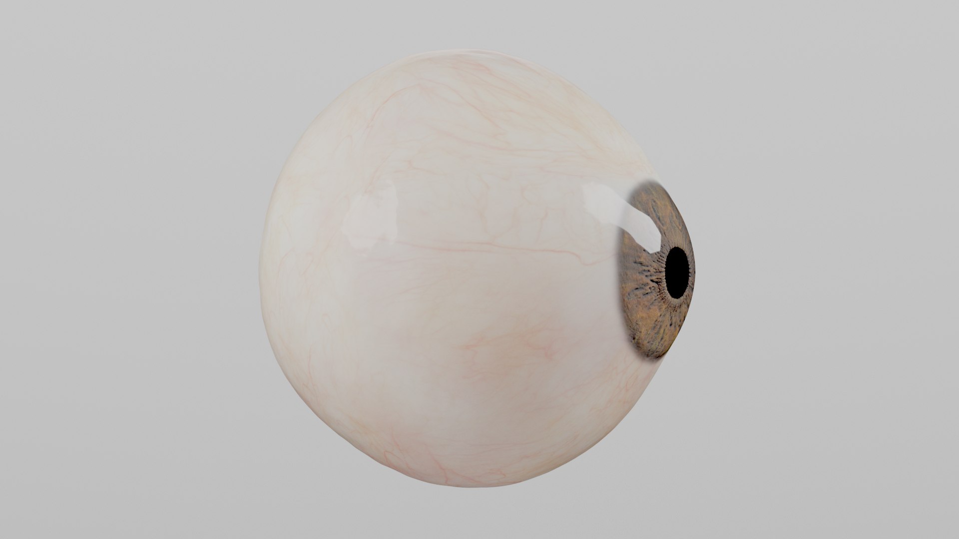 Photorealistic Human Eye High Quality Multicolor And Animated 3D Model ...