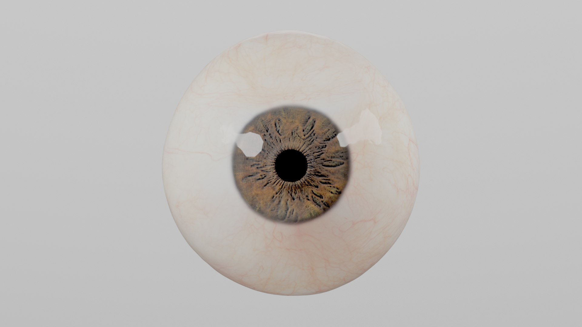 Photorealistic Human Eye High Quality Multicolor And Animated 3D Model ...
