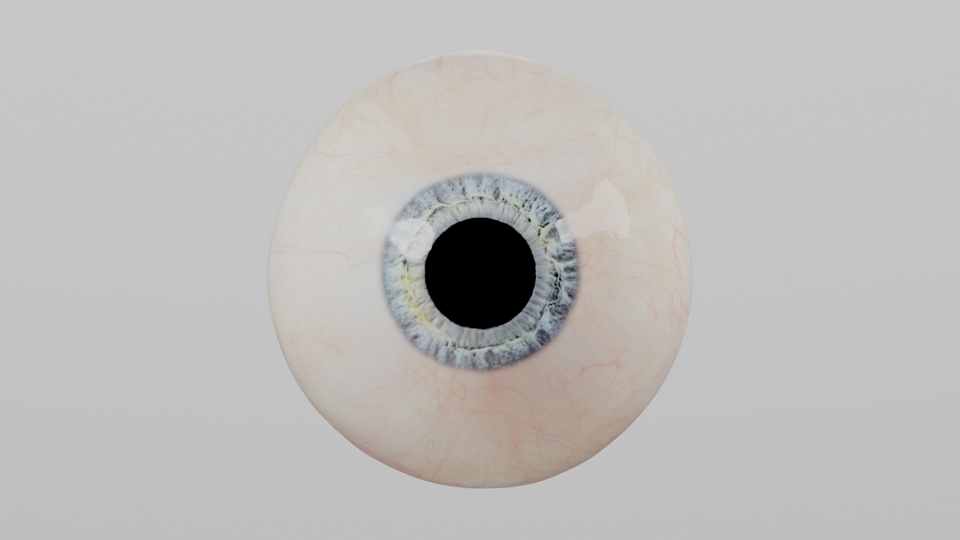 Photorealistic Human Eye High Quality Multicolor And Animated 3D Model ...