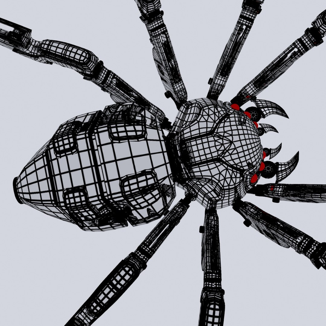 3d Model Robot Spider