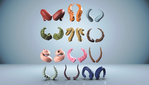 modèle 3D de COLLECTION DE MODÈLES 3D DE CORNES 12 PCS - UNIQUES ET ...