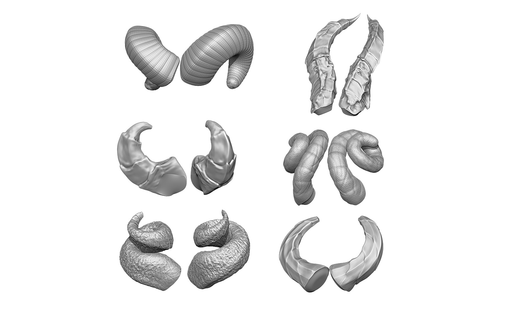 3D COLLECTION OF 3D MODELS OF HORNS 12 PCS - UNIQUE AND DETAILED ...