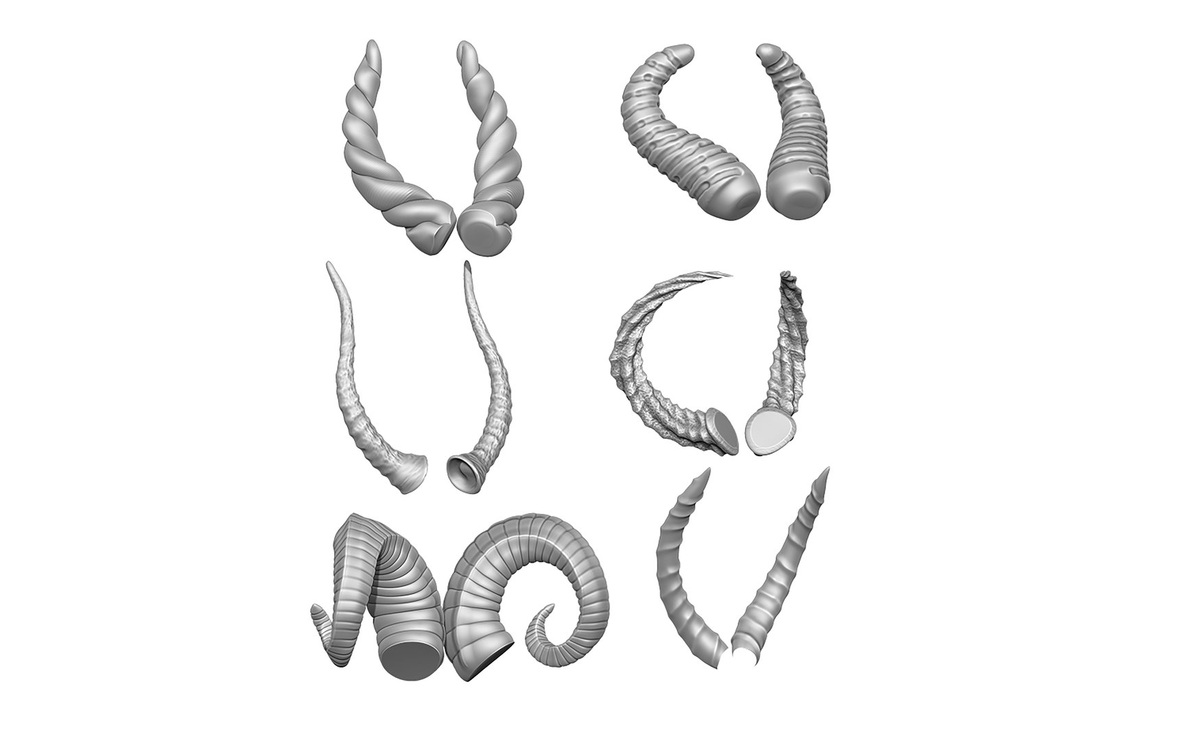 3D COLLECTION OF 3D MODELS OF HORNS 12 PCS - UNIQUE AND DETAILED ...