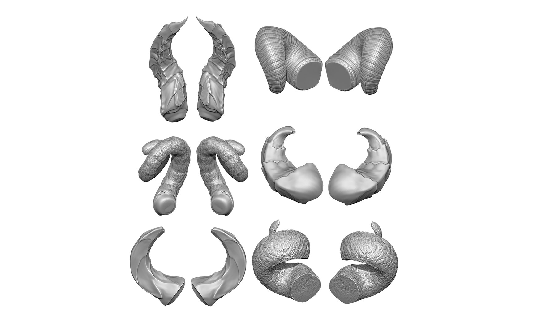 3D COLLECTION OF 3D MODELS OF HORNS 12 PCS - UNIQUE AND DETAILED ...