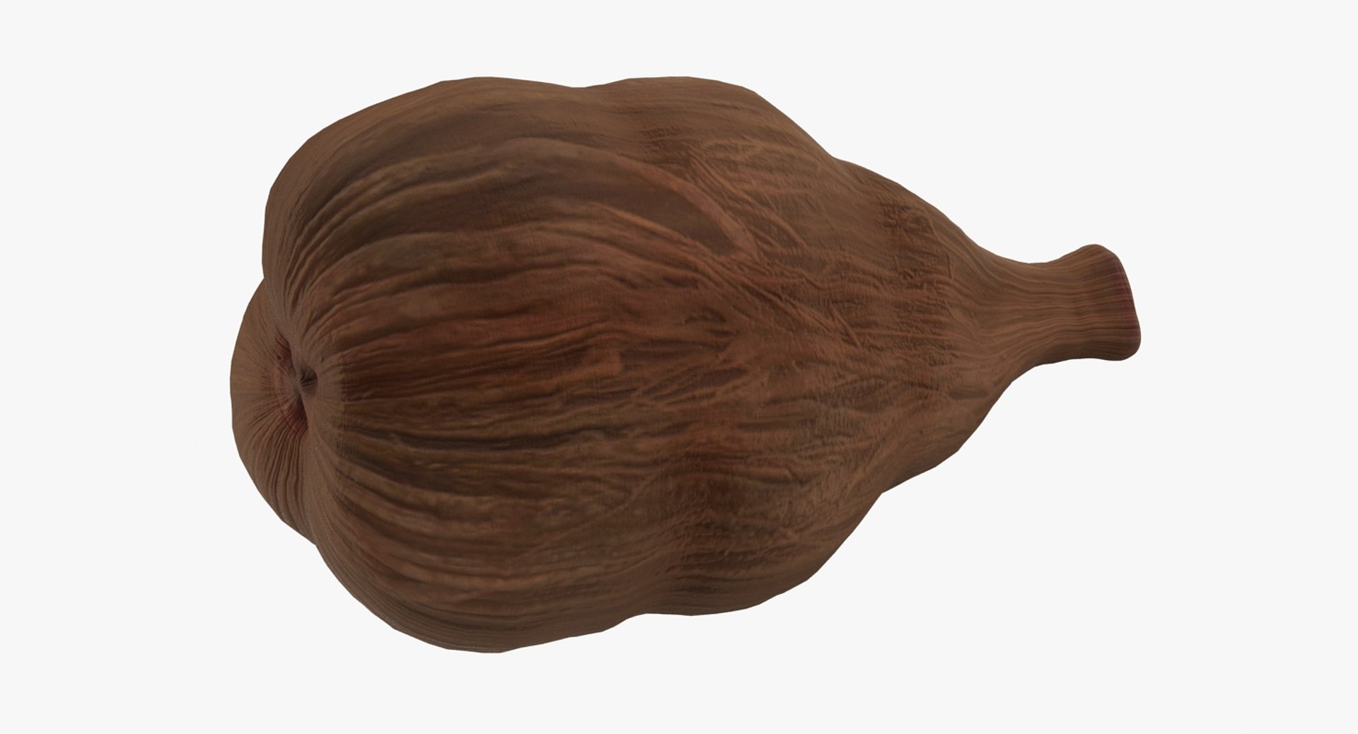 3d model of cardamom black
