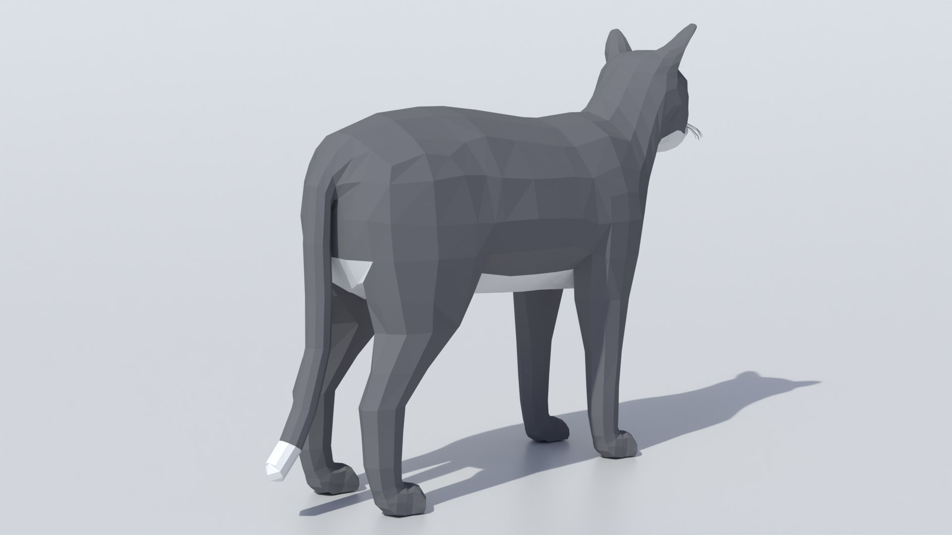 Low Poly Cartoon Cat 3D - TurboSquid 2312756