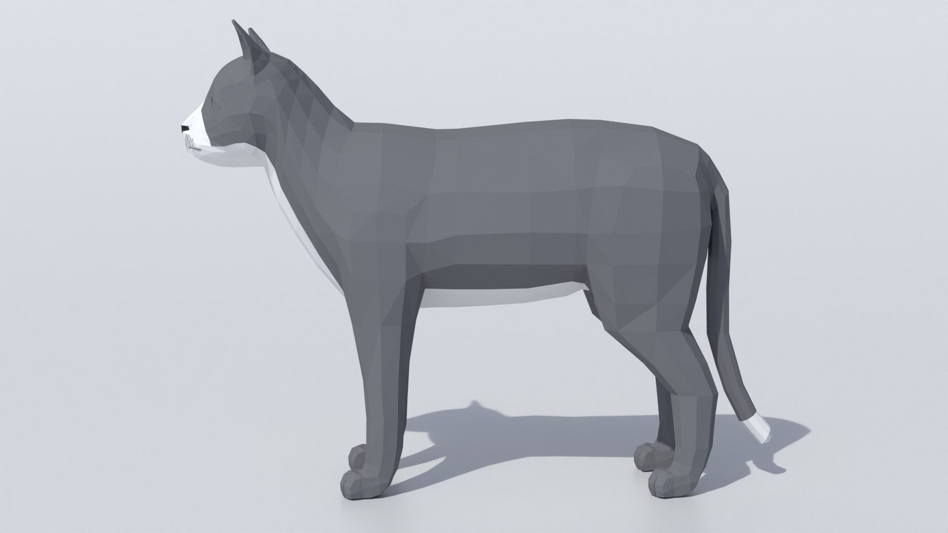 Low Poly Cartoon Cat 3D - TurboSquid 2312756
