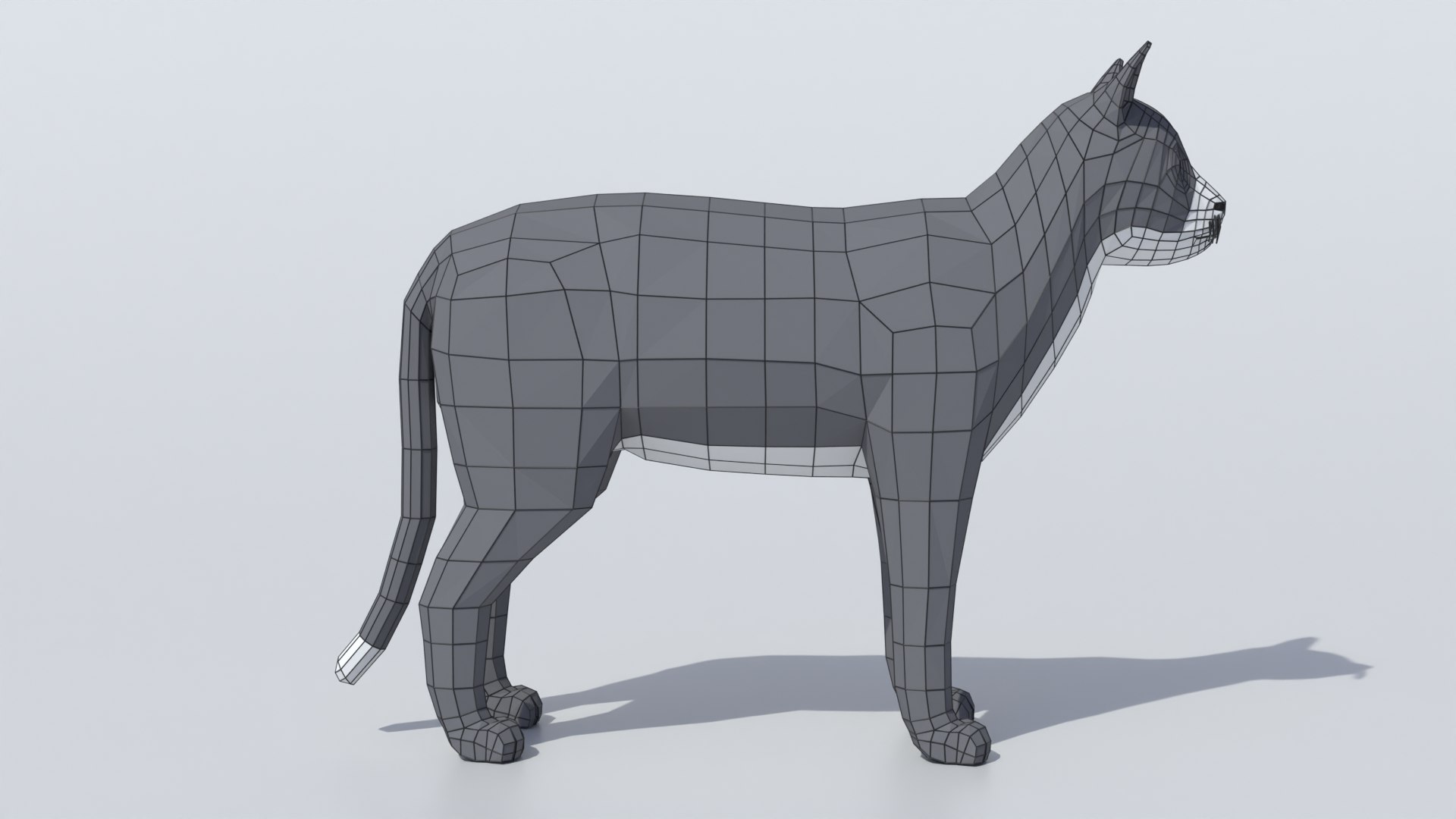 Low Poly Cartoon Cat 3D - TurboSquid 2312756