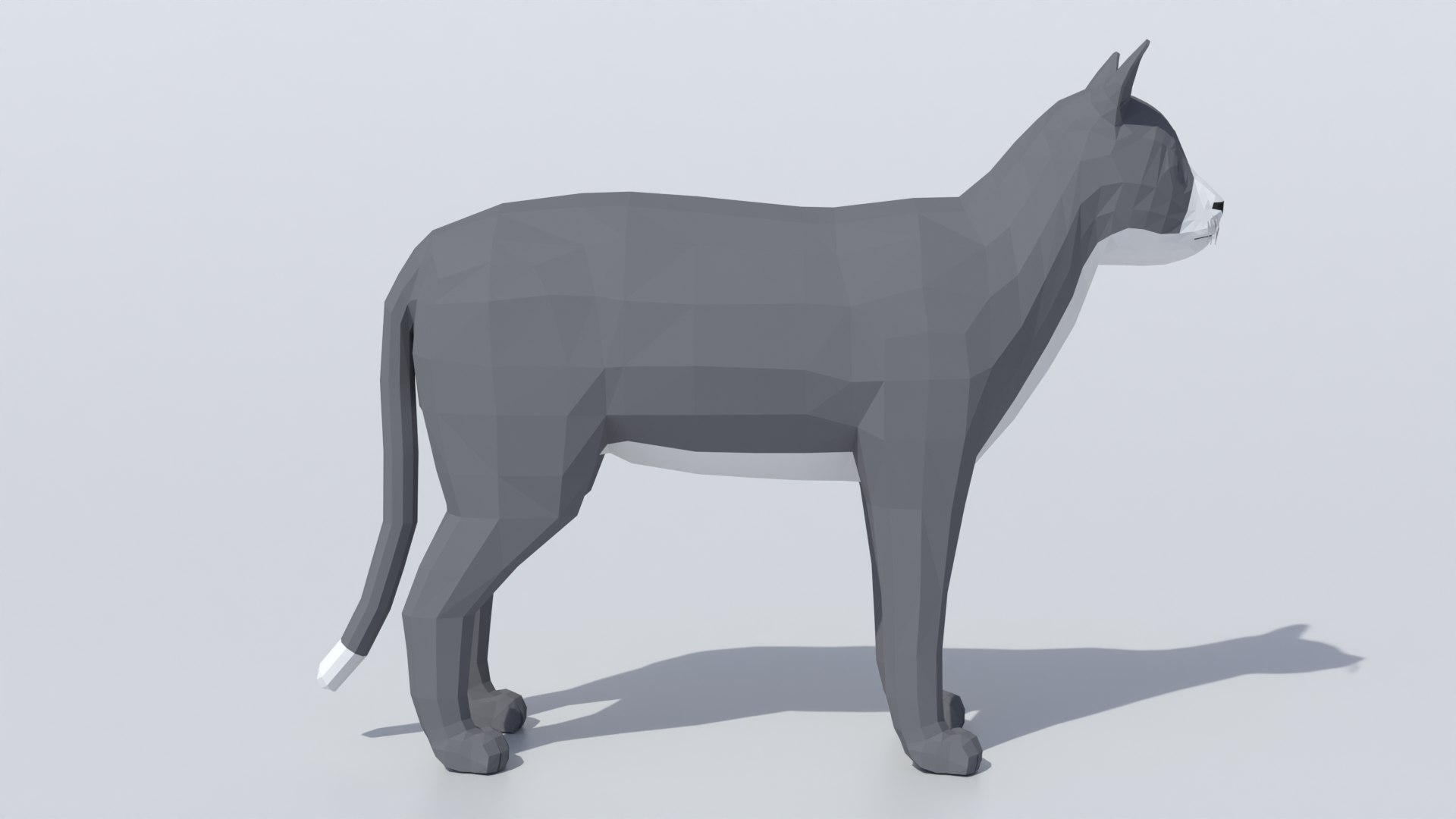 Low Poly Cartoon Cat 3D - TurboSquid 2312756