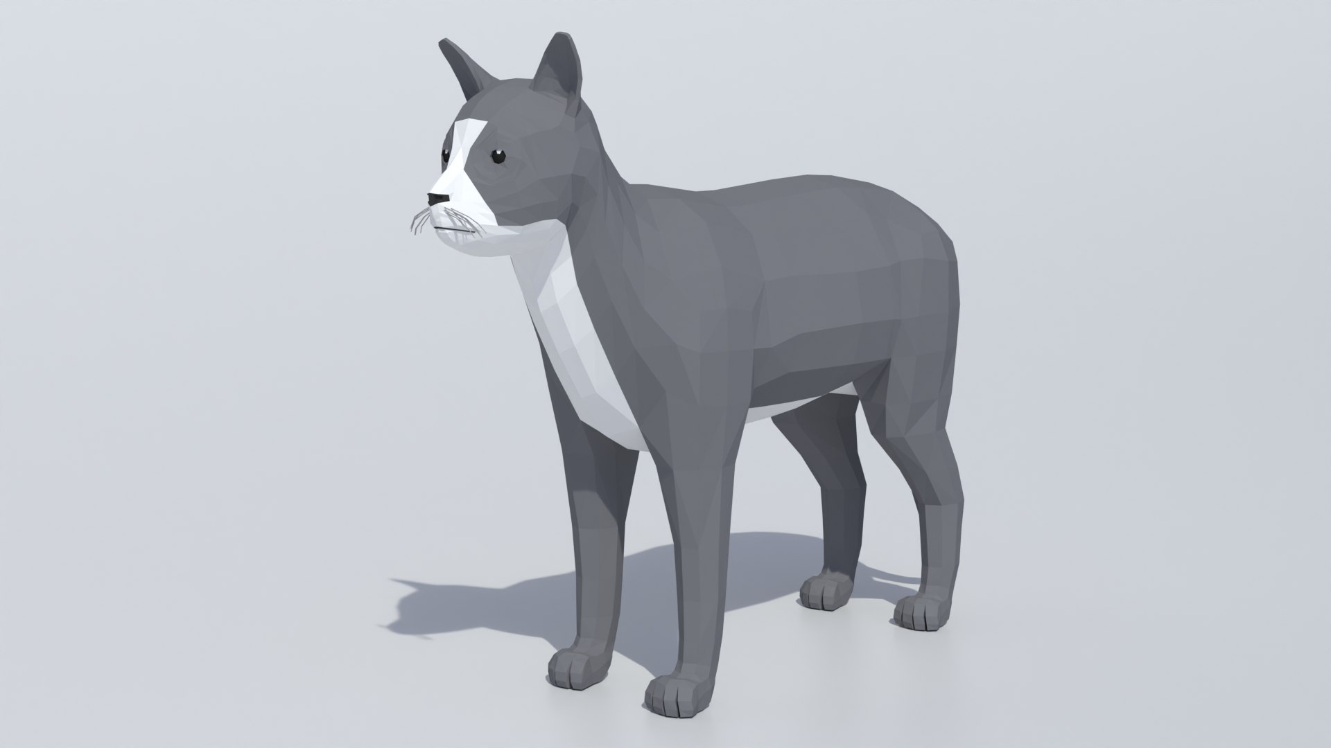 Low Poly Cartoon Cat 3D - TurboSquid 2312756