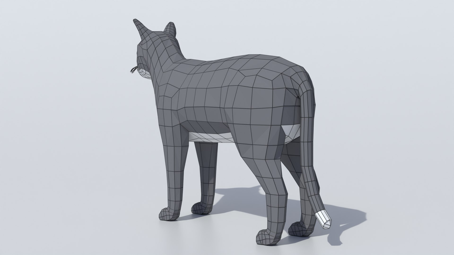 Low Poly Cartoon Cat 3D - TurboSquid 2312756