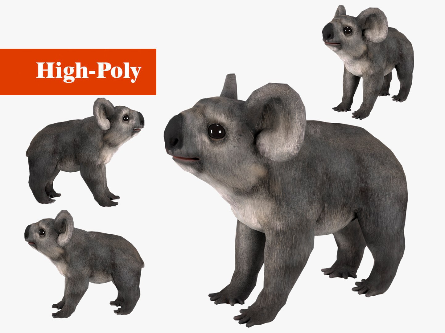 3D Koala Rig High-poly Textured - TurboSquid 2345346
