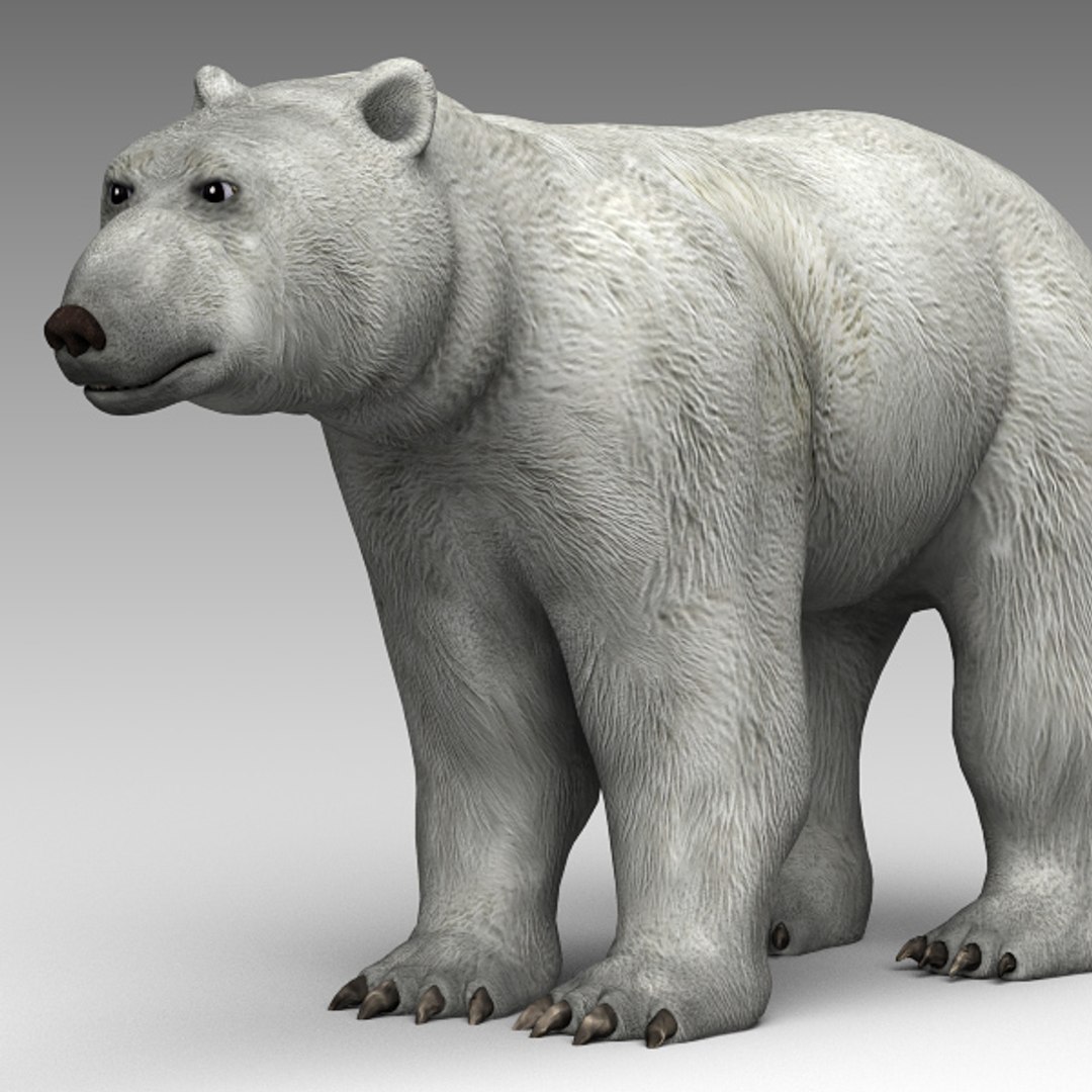 3d Model Polar Bear