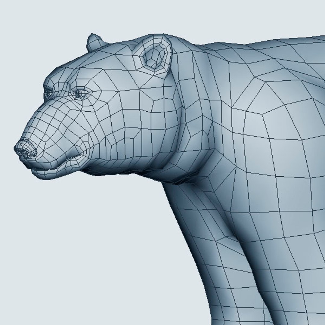 3d Model Polar Bear