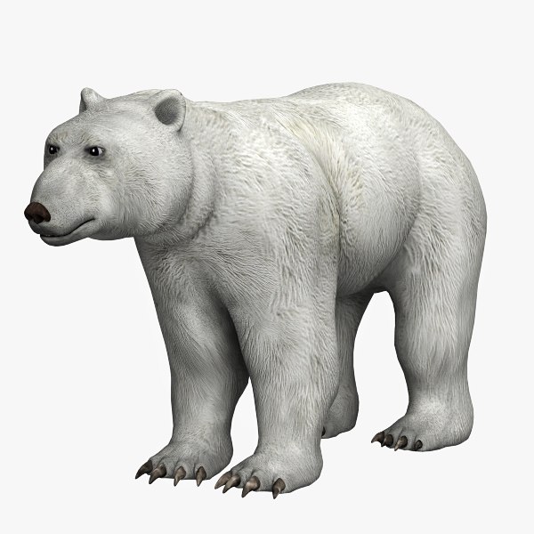 3d model polar bear