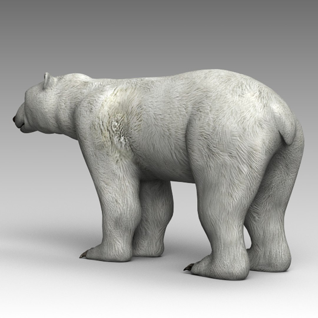 3d Model Polar Bear