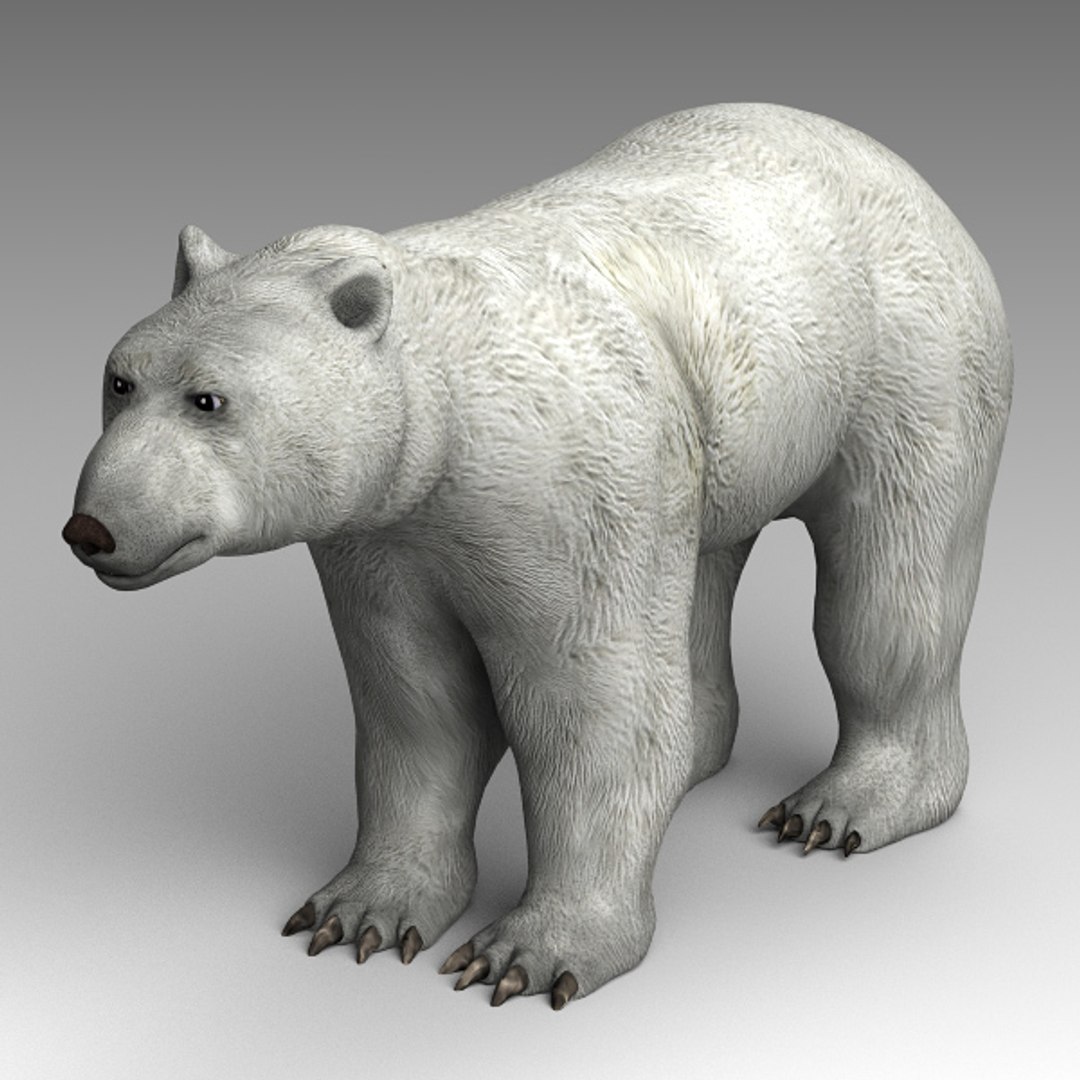 3d Model Polar Bear