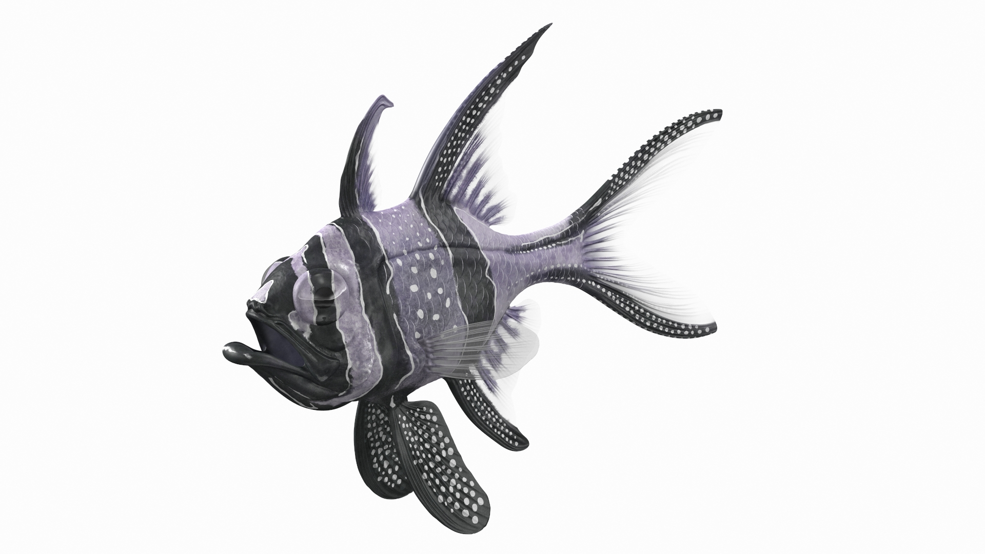 Longfin Cardinalfish Rigged For Cinema 4D 3D Model - TurboSquid 1724983