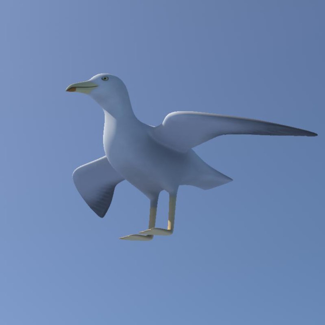 Seagull Sea Gull 3d Dxf
