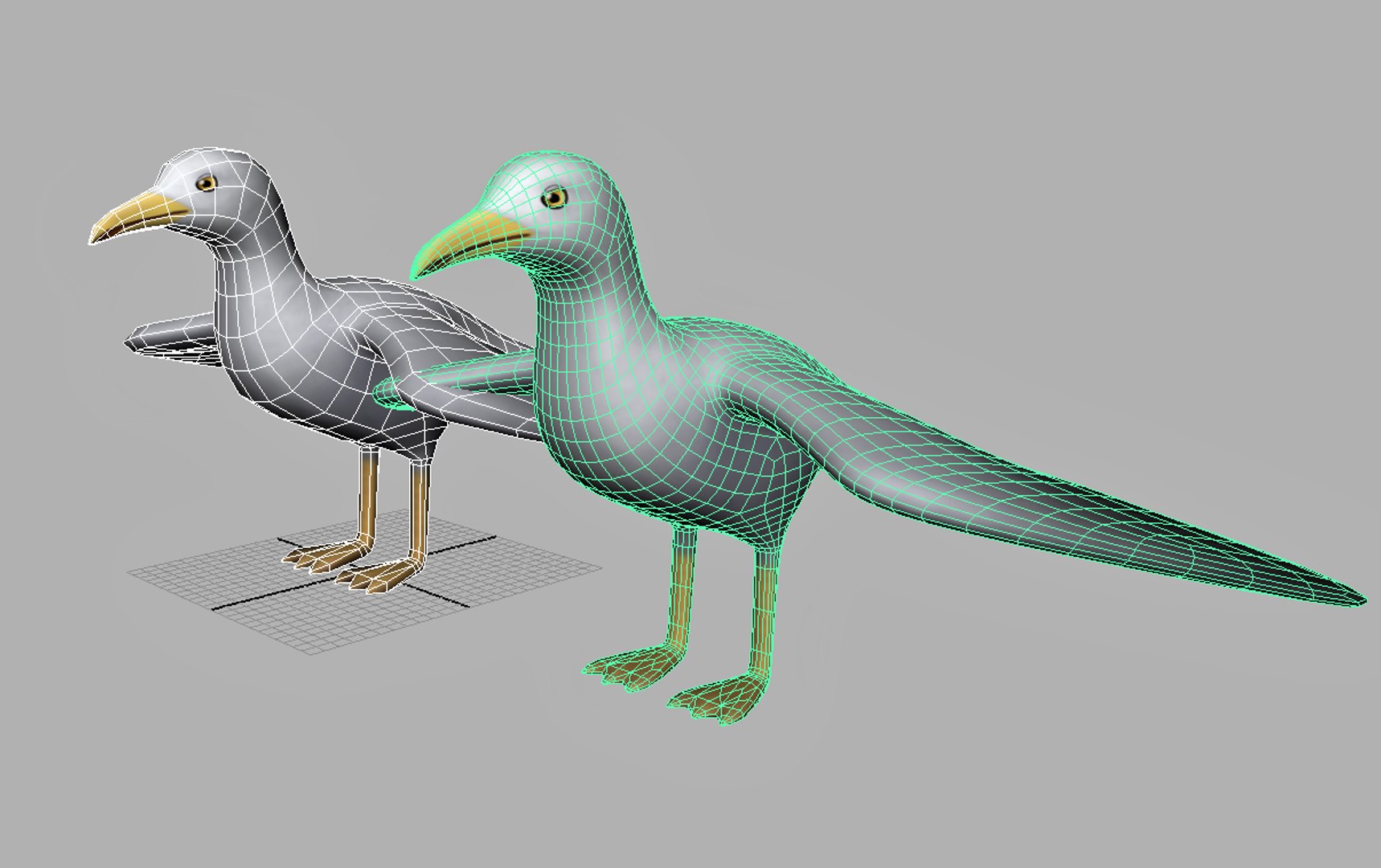 Seagull Sea Gull 3d Dxf
